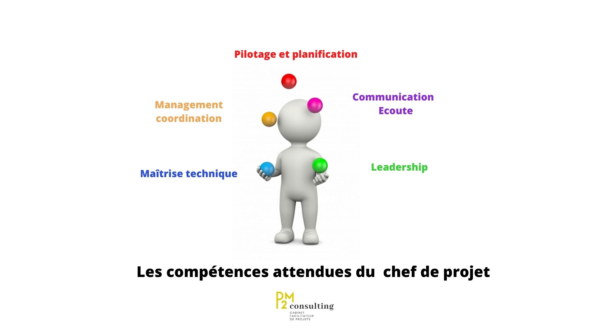 Qui es-tu Chef de projet ? - P2M Consulting